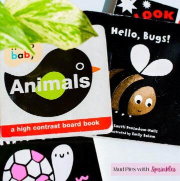 44 Best Fall Books For Kids: Autumn Picture Books - Mud Pies with Sprinkles