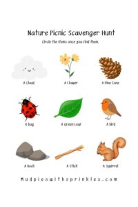 15 Easy Picnic Activities For Preschoolers: BEST Ideas