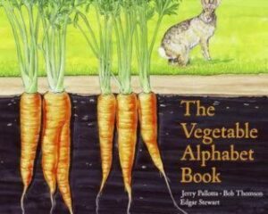 13 Best Letter V Books for Preschool and Kindergarten - Mud Pies with ...