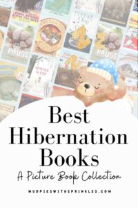 10 Best Hibernation Books for Kids: Nature Picture Books - Mud Pies ...